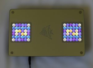 ReeFi® LED Duo – ReeFi Lab