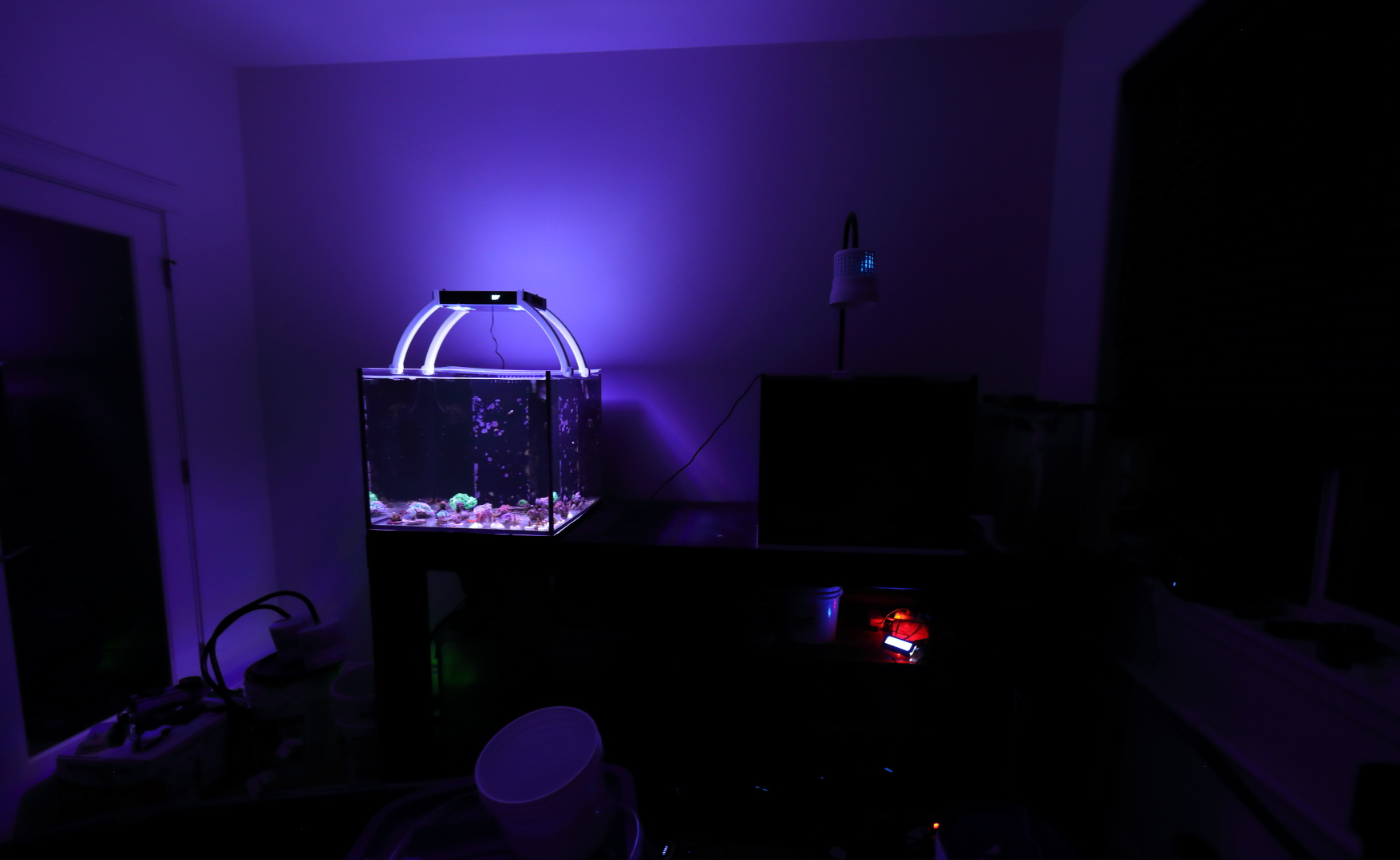 ReeFi® LED Duo – ReeFi Lab