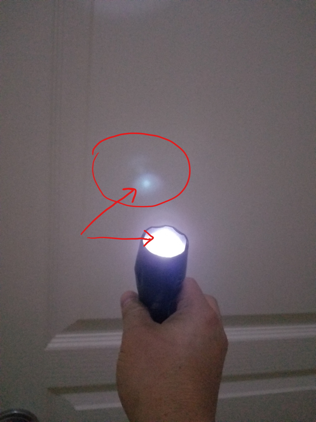 Myth about LED lighting and Lenses – ReeFi Lab