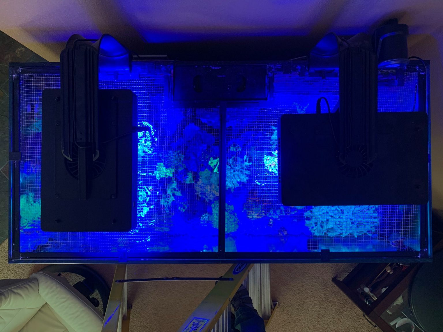RMS Mount Adaptor for ReeFi Duo Extreme/Deluxe – ReeFi Lab