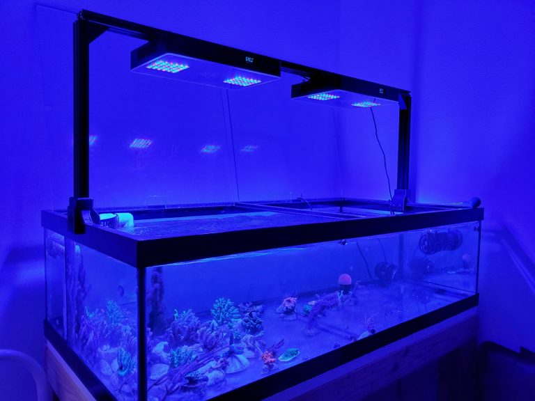 2040 Across Tank Mounts – ReeFi Lab