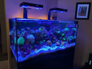 RMS Mount Adaptor for ReeFi Duo Extreme/Deluxe – ReeFi Lab