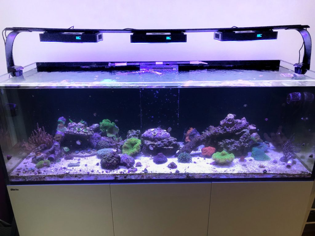 ReeFi LED Adaptors/Mounts Options – ReeFi Lab