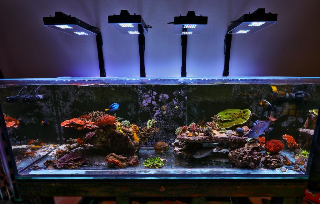 2040 Wall Mounts – ReeFi Lab