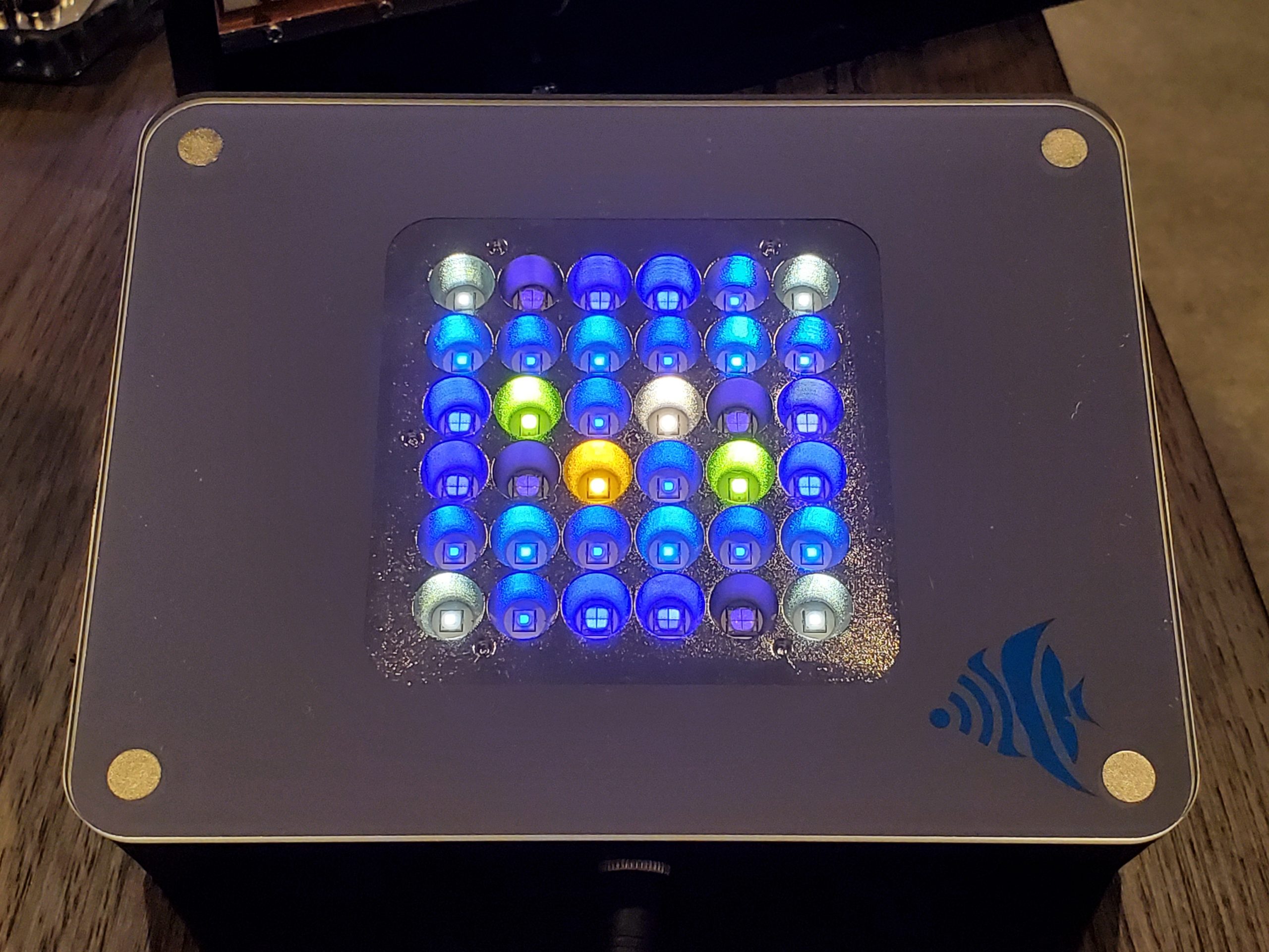 ReeFi Uno Pre-Order Special – ReeFi Lab