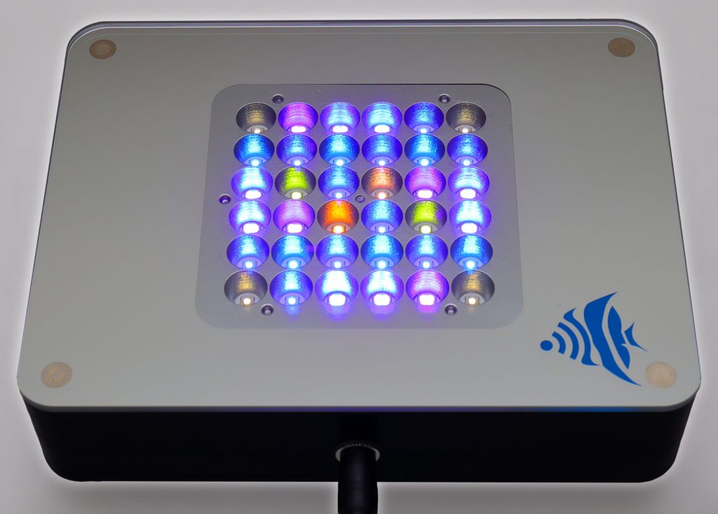 ReeFi Uno Pre-Order – ReeFi Lab