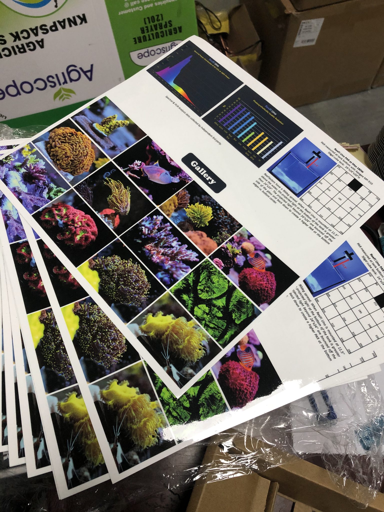 ReeFi Uno Pre-order shipping update – ReeFi Lab