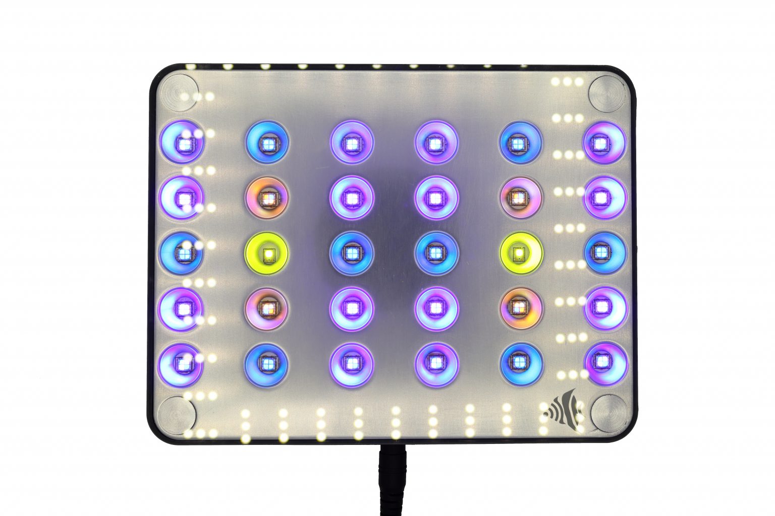 ReeFi Uno 2.x Pro – ReeFi Lab