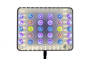 ReeFi Uno 2.0 Pro – ReeFi Lab