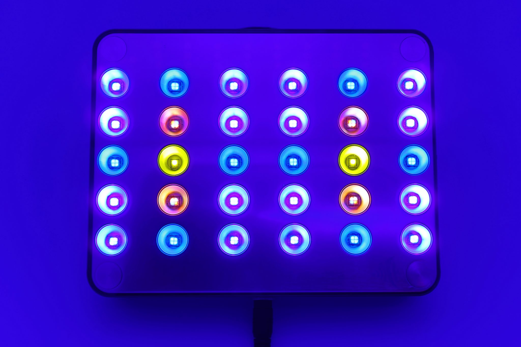 ReeFi Uno 2.0 Pro – ReeFi Lab